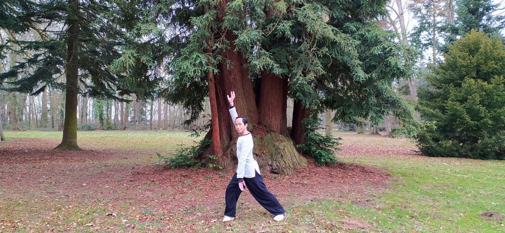 Stages & formations en Arts corporels & méditatifs | Centre Calam